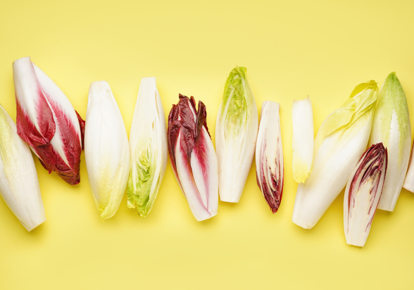 Endive : tout savoir sur ce légume croquant et délicieux