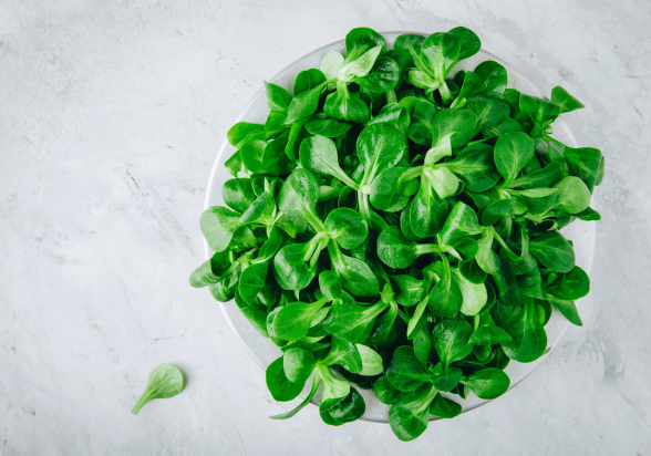 Mâche : bienfaits, recettes et astuces - Colruyt
